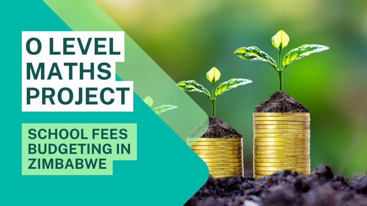 O Level Maths Project: Real-Life School Fees Budgeting in Zimbabwe # ...