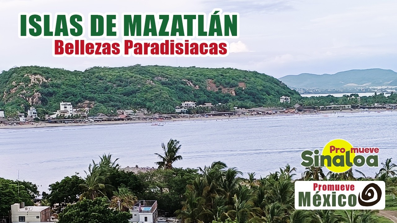 Conozca la producción de coco, nanchi y mango recorriendo la hermosa ...