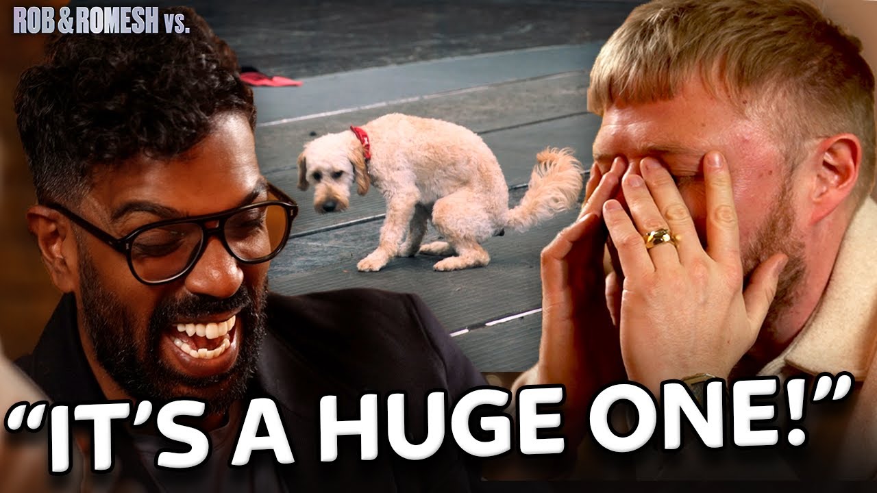 Romesh is in HYSTERICS as he reacts to Crufts DISASTER! 💩 | Rob & Rom ...