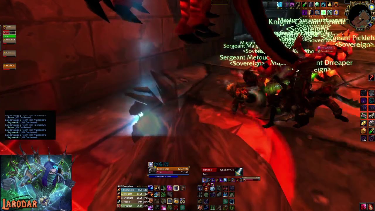Feral Druid Tank vs Flamegor (Blackwing Lair Official Classic lvl 60 ...