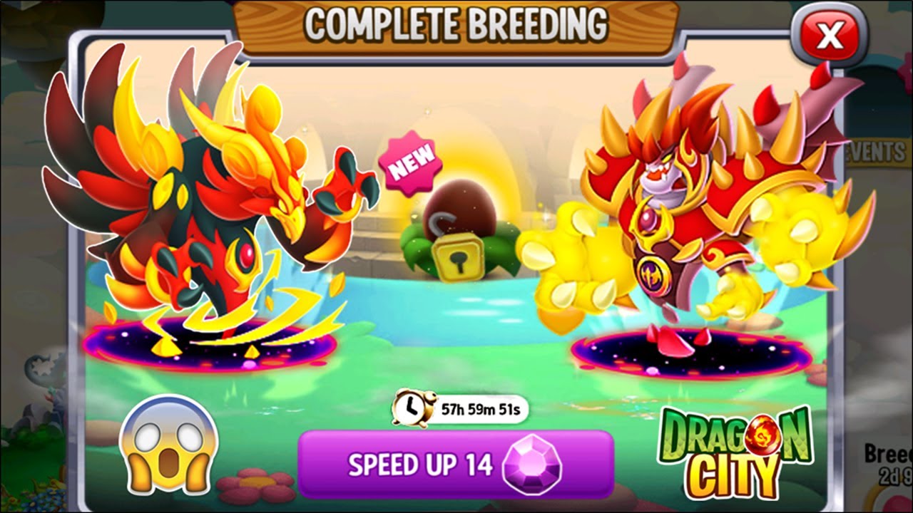 Dragon City: Phoenix Eternal Dragon vs Destroyer Eternal Dragon ...