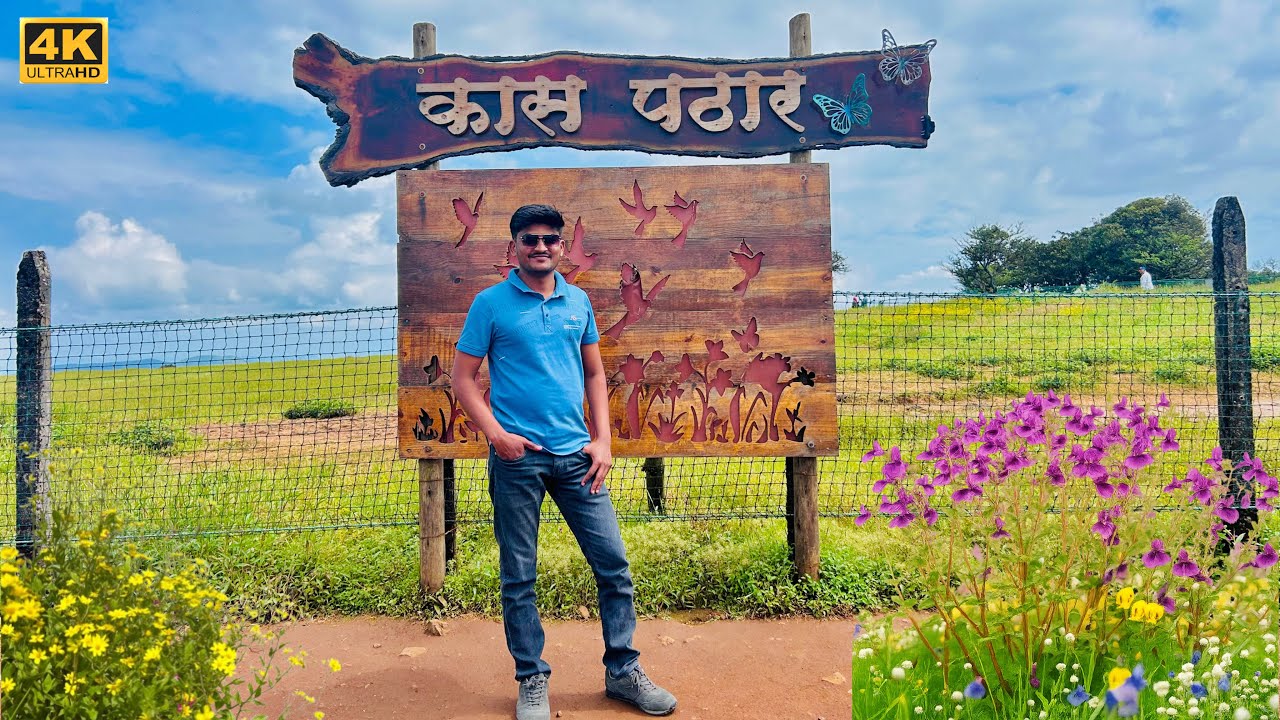 Kass pathar Satara 2025 | Valley of flowers | कास पठार - YouTube