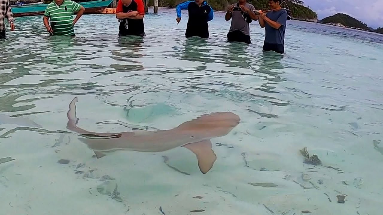 MagicalDays 13 Days LOB Raja Ampat - Piyanemo & Wayag - YouTube