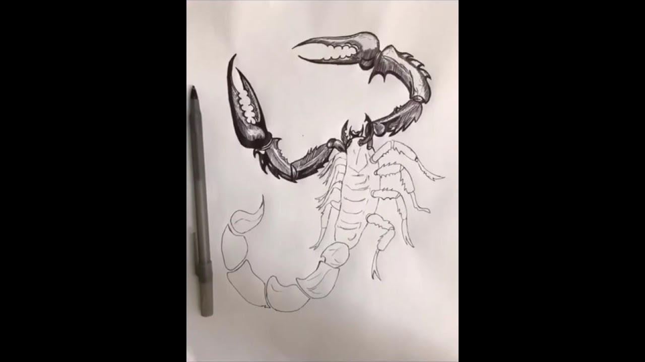 Dibujo de un alacrán 🦂 - YouTube