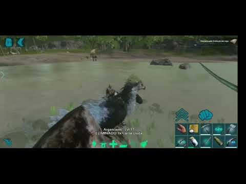 transportando a un barionix/serie de ark#8 - YouTube