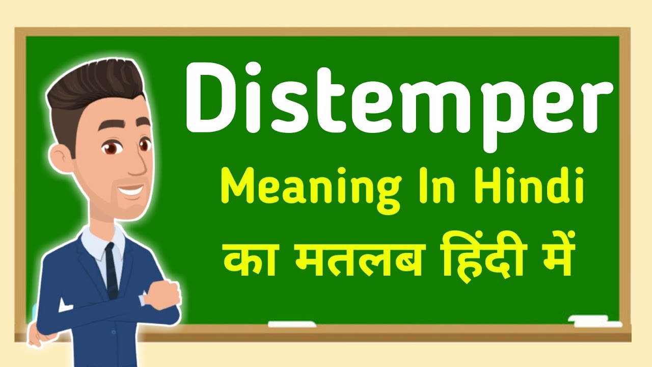 Distemper meaning in hindi || Distemper मतलब हिंदी में - YouTube