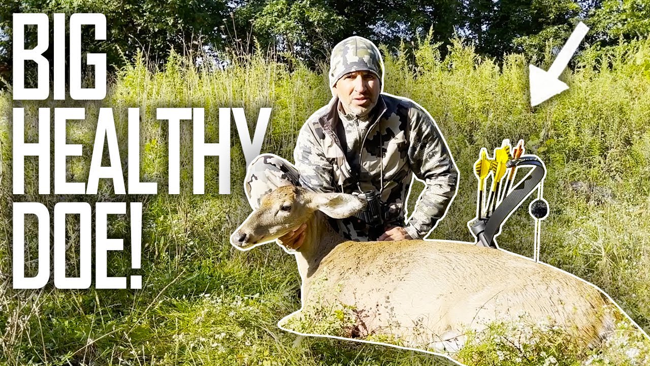 HANG AND HUNT DOE WITH A RECURVE | Traditional Archery & Bowhunting ...