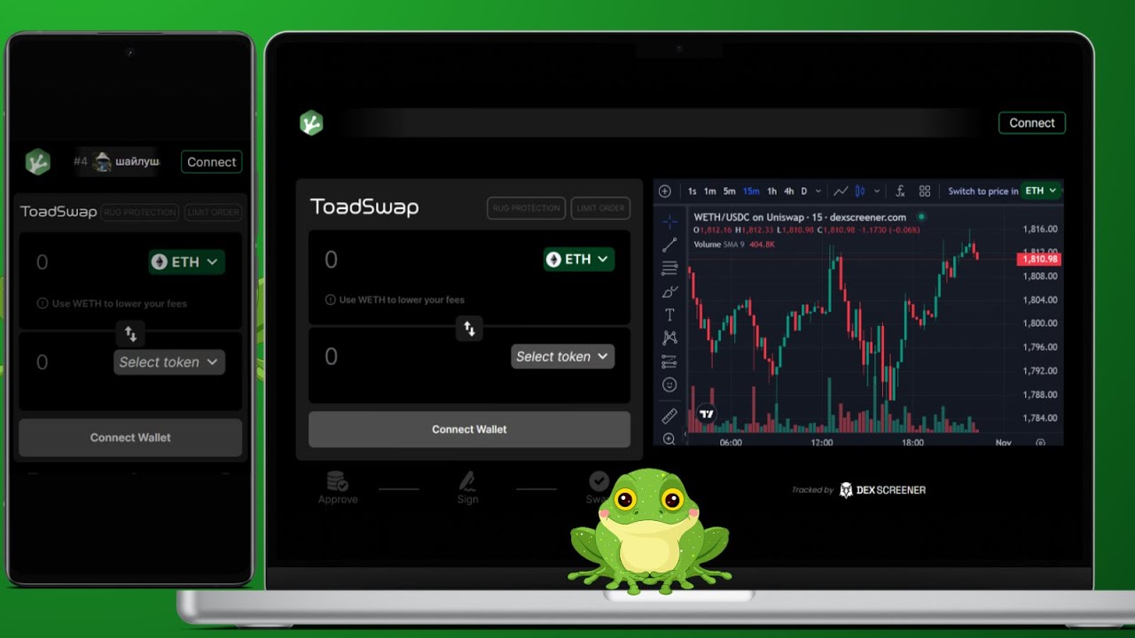 Short Overview on Toadswap Exchange - YouTube