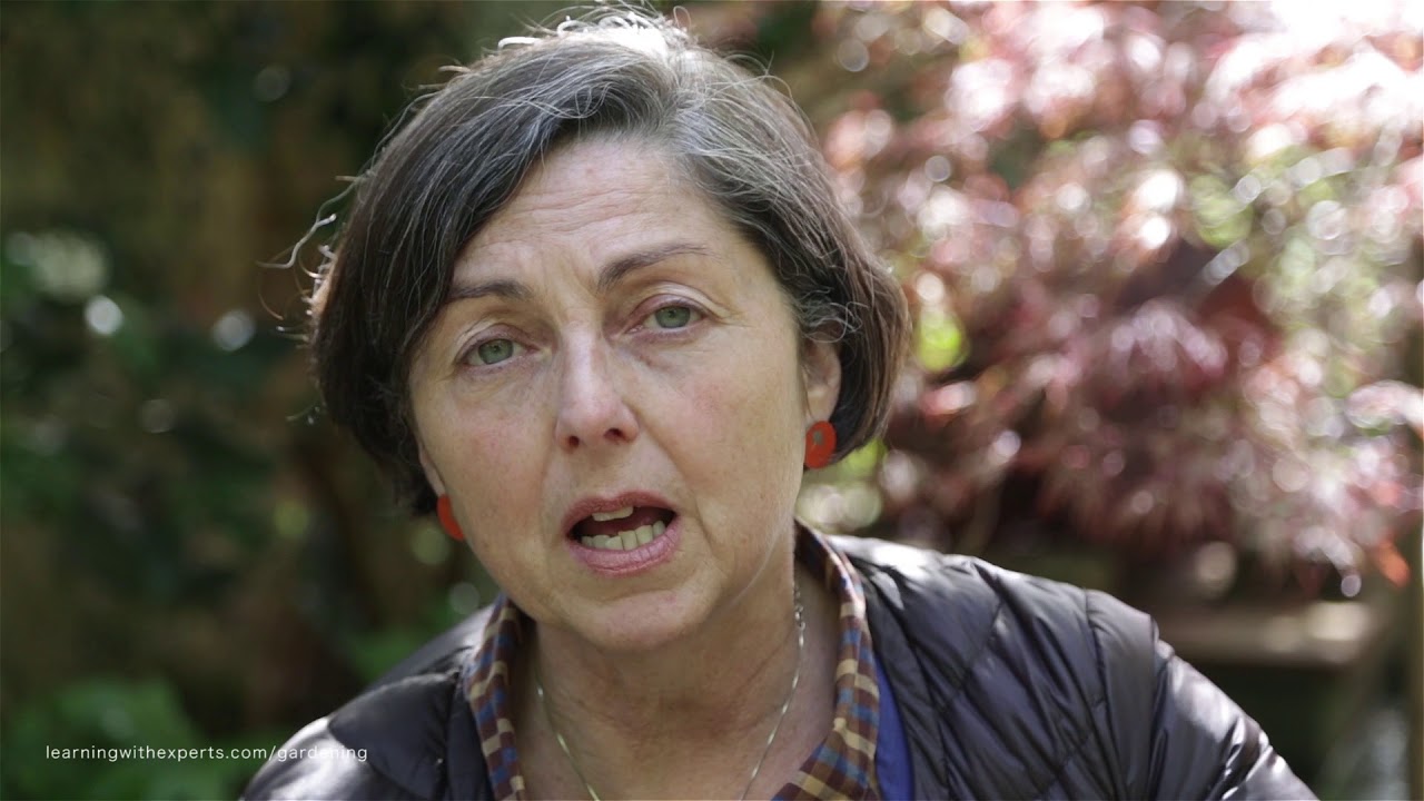 DESIGNING URBAN GARDENS (Trailer) with Annie Guilfoyle @ Learning with ...