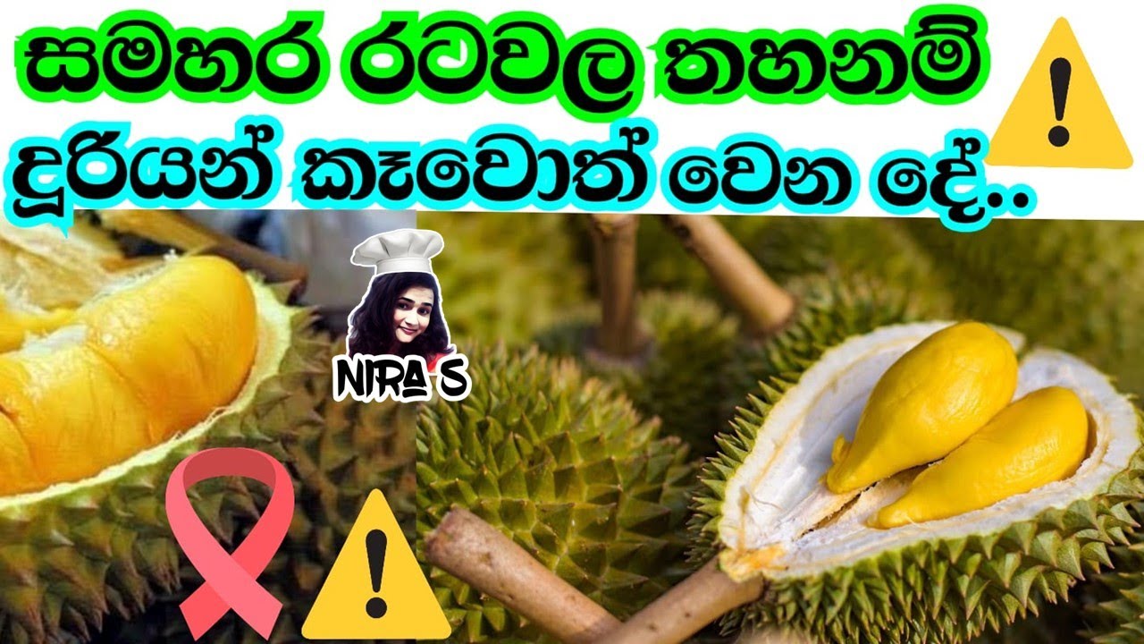 ඔයත් දූරියන් කෑවද? එහෙනම් අනිවාර්යයෙන් බලන්න | Duriyan | dooriyan ...