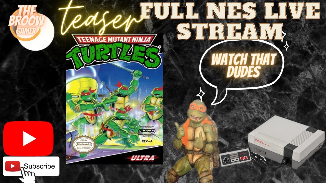Turtles Stream live on Twitch - YouTube