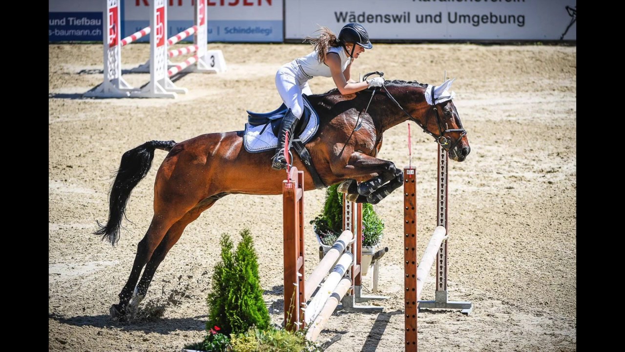 Springturnier 27.5 - 1. und 2. Rang - YouTube