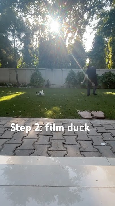 Exploding ducks - YouTube