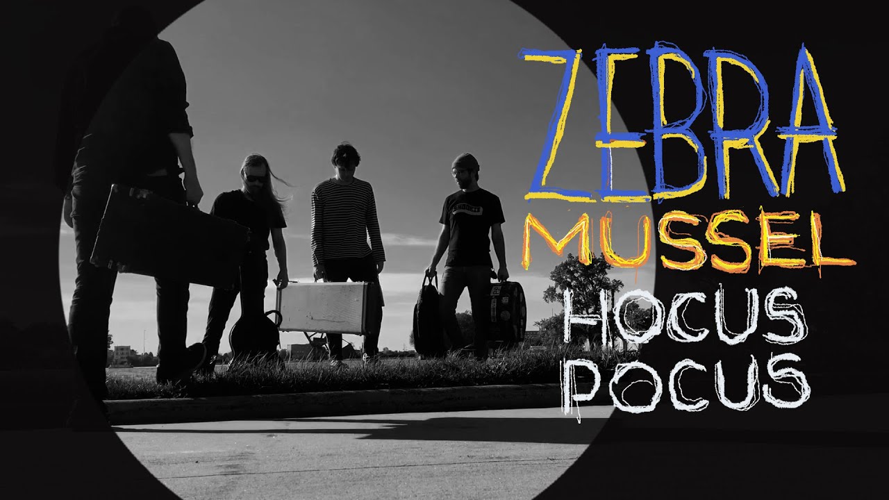 ZEBRA MUSSEL/Hocus Pocus/Music Video - YouTube