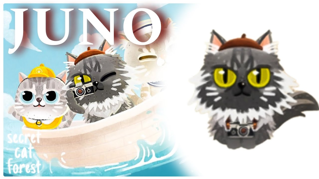 Como conseguir o Juno - Secret Cat Forest - YouTube
