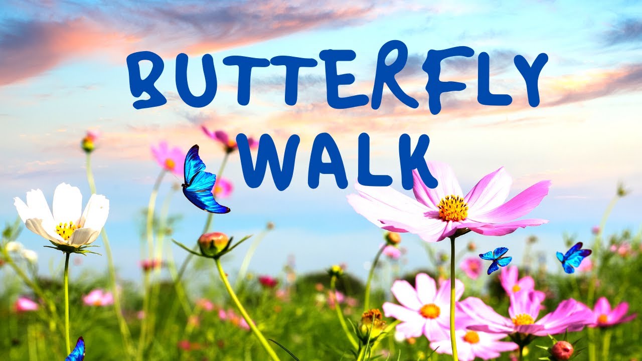 Butterfly Walk | 30 Minute Scenic Walking Workout - YouTube