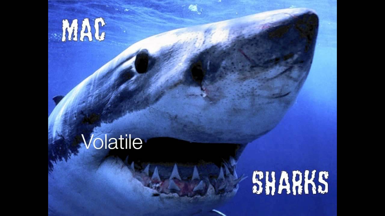 Mac Sharks - Volatile - YouTube