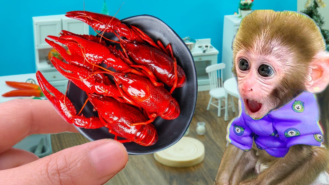 Bibo Monkey cooks mini lobster for 2 ducks - YouTube