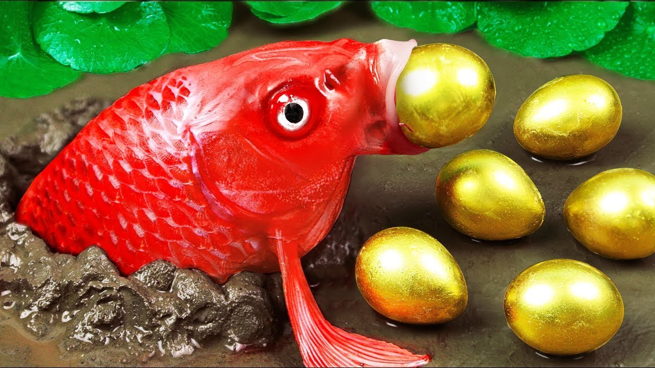 Stop motion Fish ASMR - Battle of fish catfish hunting koi fish - YouTube