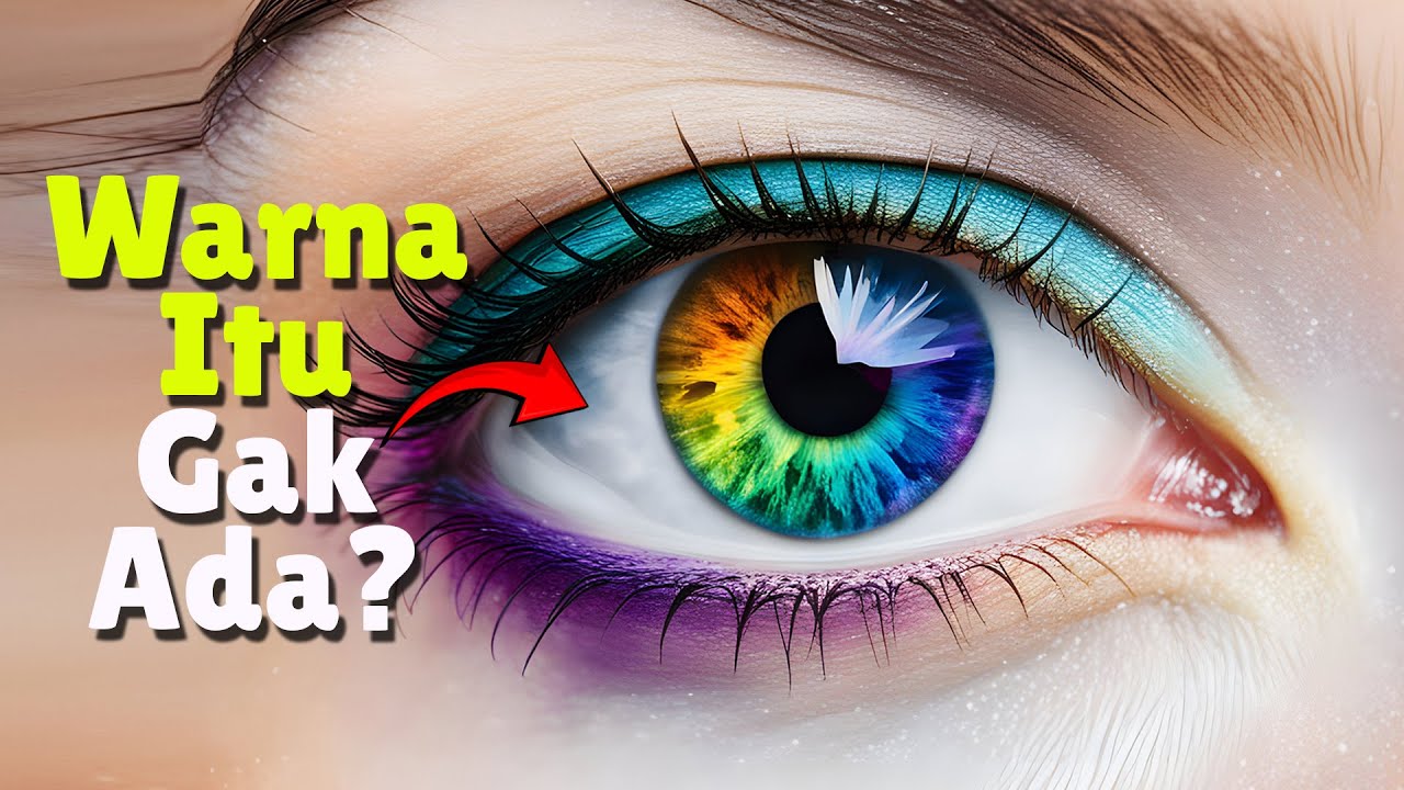 Kenapa Kita Bisa Melihat Warna? Ini Penjelasannya! How We Can See a ...