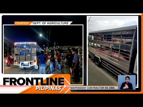 2 truck na may kargang baboy, naharang sa checkpoint vs. ASF ...