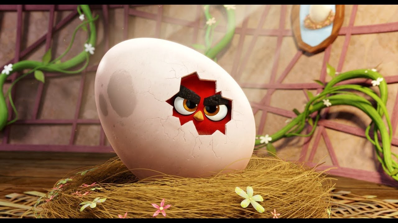 angry birds, rovio, angry birds movie, fun, angry birds toons, angry ...
