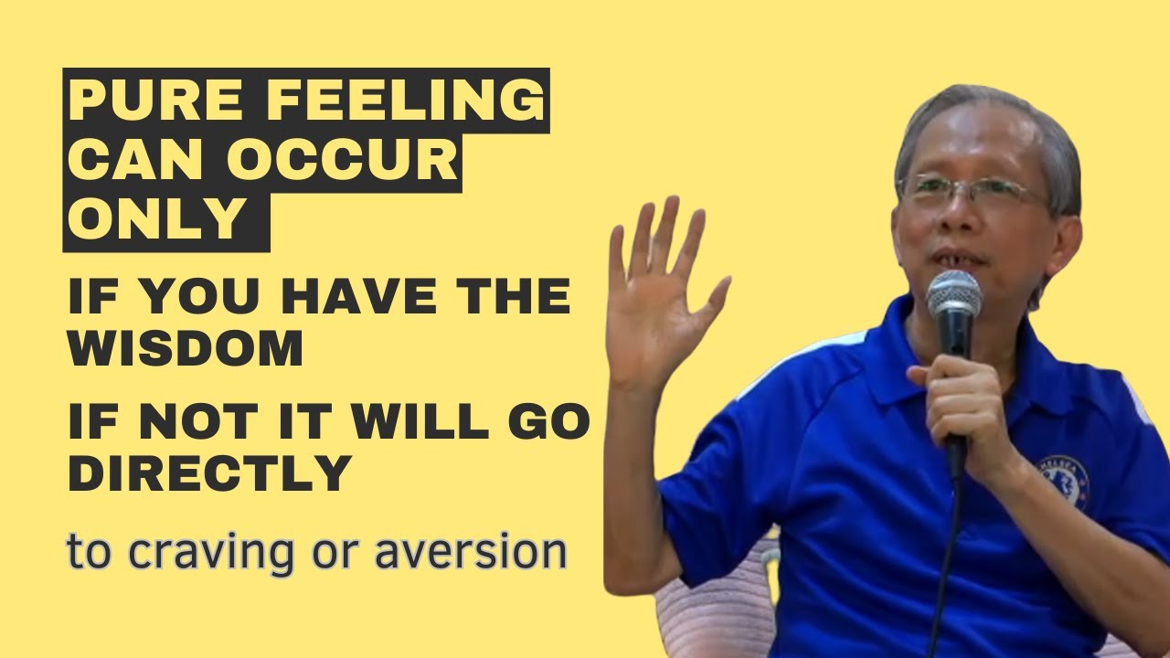 Pure Feeling Can Occur Only If You Have The Wisdom If Not It Will Go pure-feeling-can-occur-only-if-you-have-the-wisdom-if-not-it-will-go