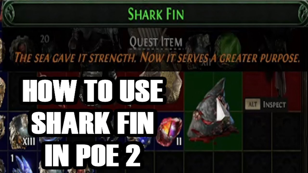 Shark Fin Path Of Exile 2 - YouTube