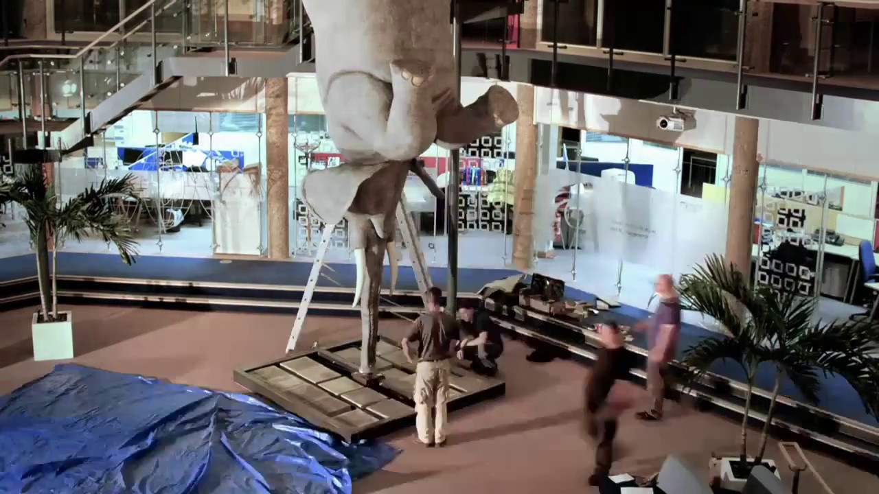 Micro Focus - The Elephant Has Landed - YouTube
