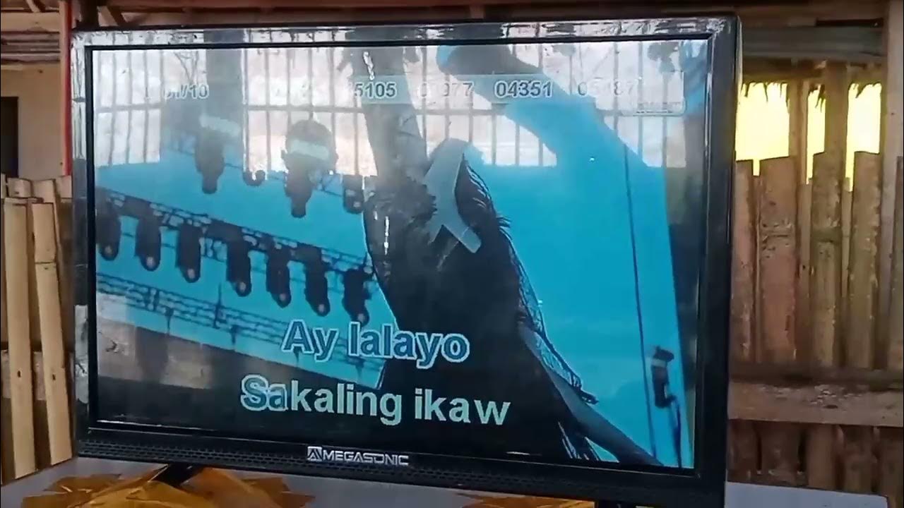 Platinum Reyna SE / Reyna 4 Videoke Score 95 - YouTube