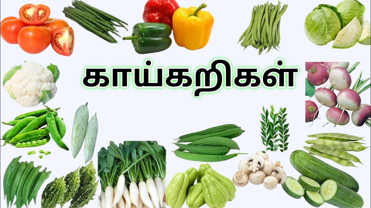 காய்கறிகள் | learn vegetables names in Tamil | @babiesschool94 - YouTube