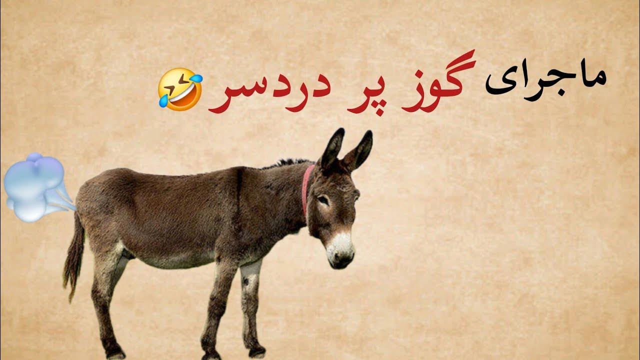 حکایت گوز پر ماجرا / گوزی که مرد کشاورز را به باد شلاق داد - YouTube