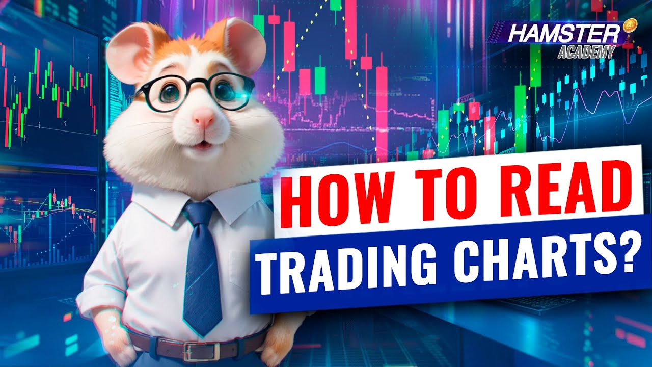 Investing for beginners: How to read trading charts ⚡️ Hamster Academy ...
