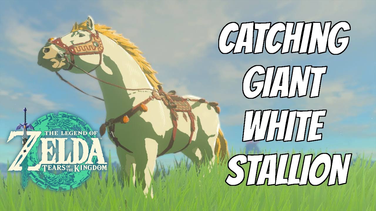 Catching the giant white stallion - YouTube