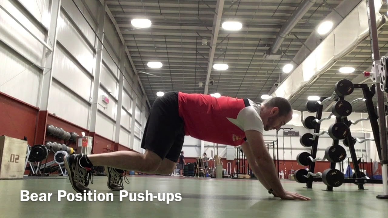 Bear Position Push-ups - YouTube