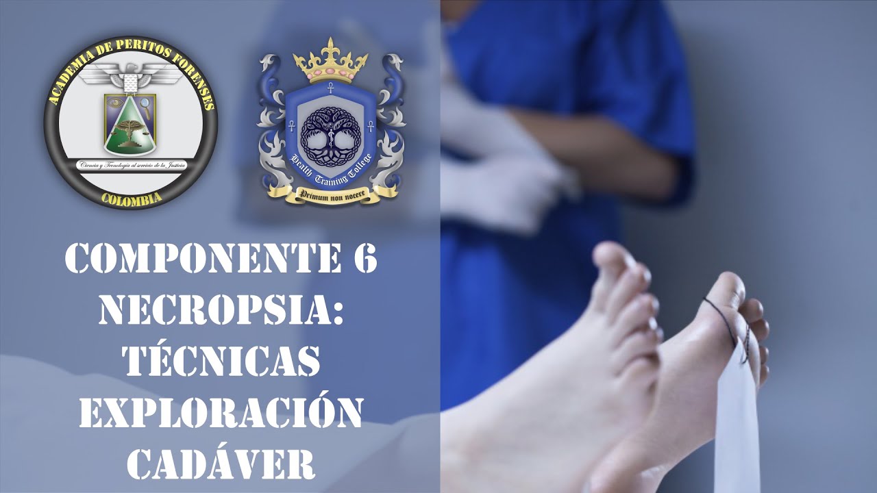 Componente 6 necropsia: Técnicas de exploración del cadáver. - YouTube