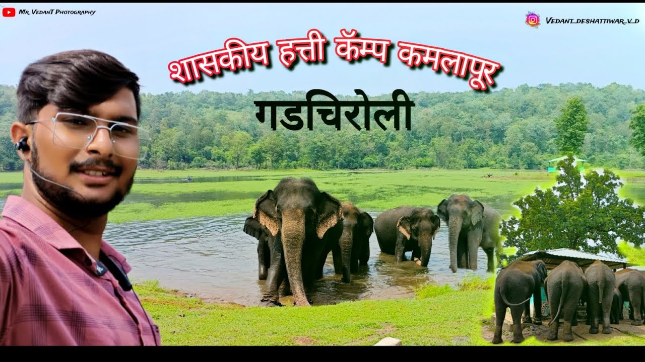 😮KAMLAPUR 👌HATTI.CAMP( Gadchiroli )😮 - YouTube