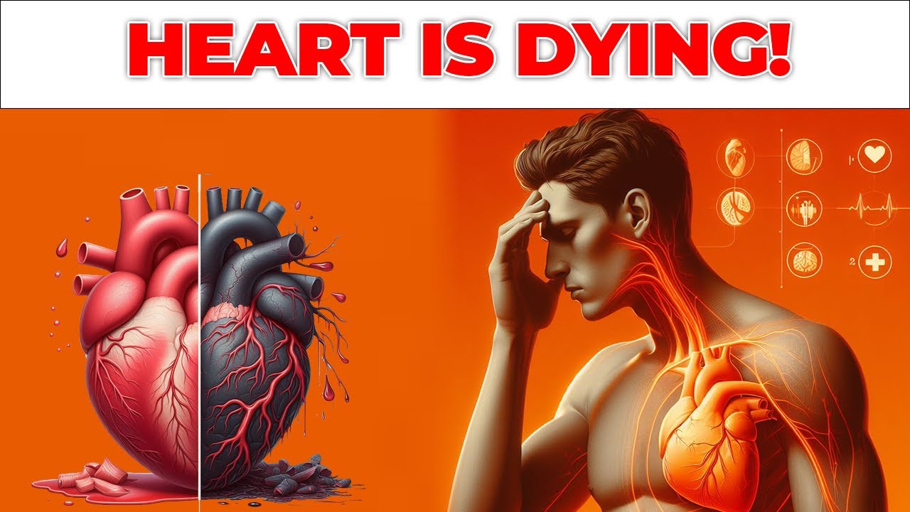 10 Signs Your Heart Health is at Risk! ( Heart is Dying ) / Health ...