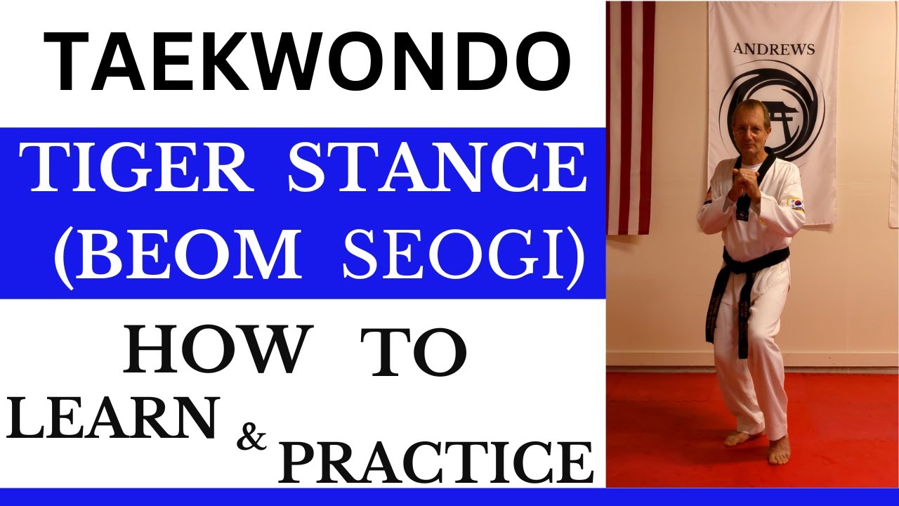 How to do Tiger Stance in Taekwondo #taekwondo #taekwondotechniques # ...