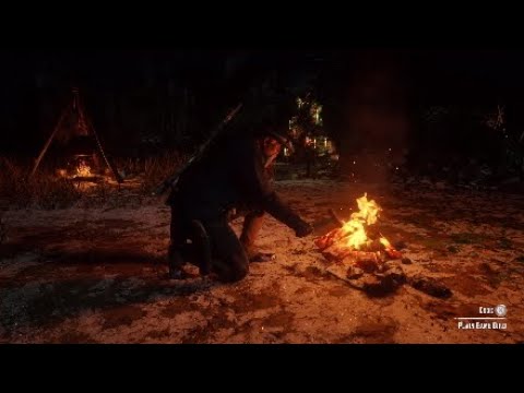 RDR2 daily challenge : Provisions cooked at campfire - YouTube