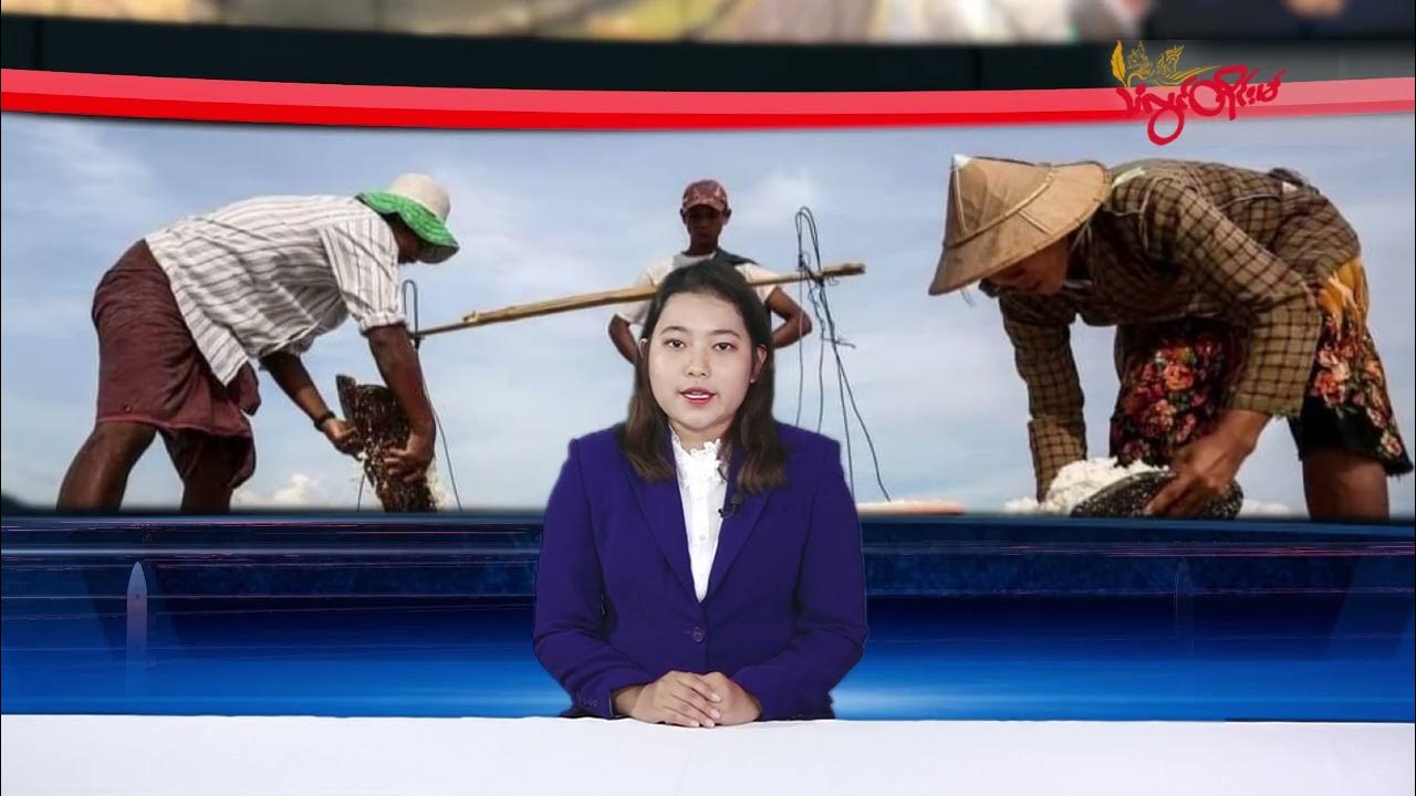 TLT Tv||- နိုဝင်ဘာလ (၂၄) ရက် ည ၈ နာရီသတင်း တိုက်ရိုက်ထုတ်လွှင့်မှု - YouTube