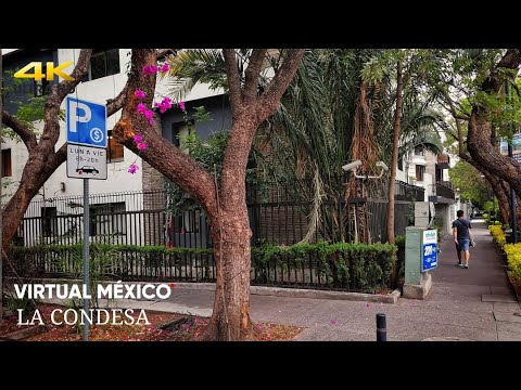 🔴Caminando por la mitica e historica Condesa | MEXICO CITY CONDESA ASMR ...