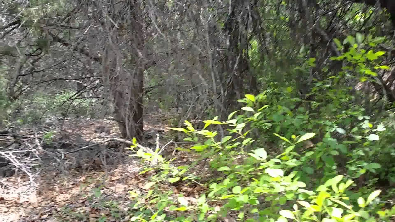 Seep Spring flowing through my Land - YouTube