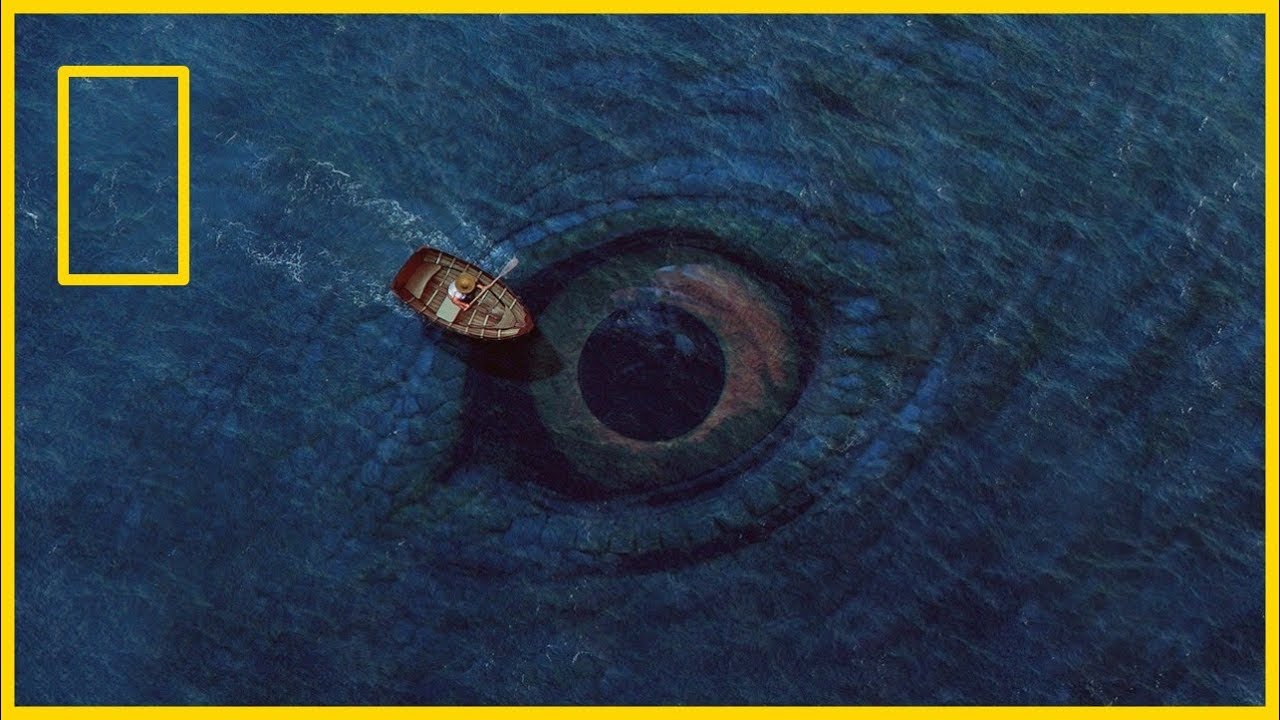 Los 10 Monstruos Marinos Más Grandes del Mundo - YouTube