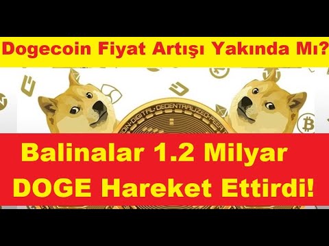 Dogecoin Fiyat Artışı Yakında Mı? Balinalar 1.2 Milyar DOGE Hareket Ettirdi!