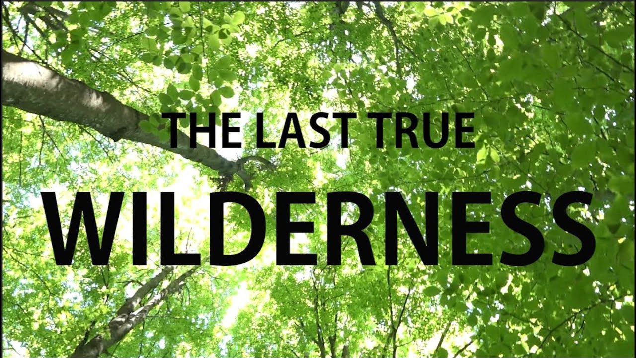The Last True Wilderness (2017) - YouTube