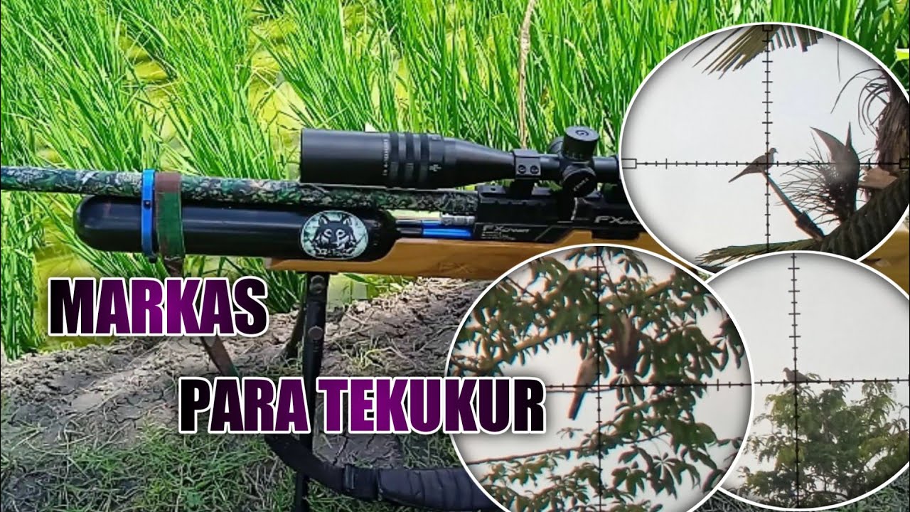 BERBURU DI MARKASNYA TEKUKUR - YouTube