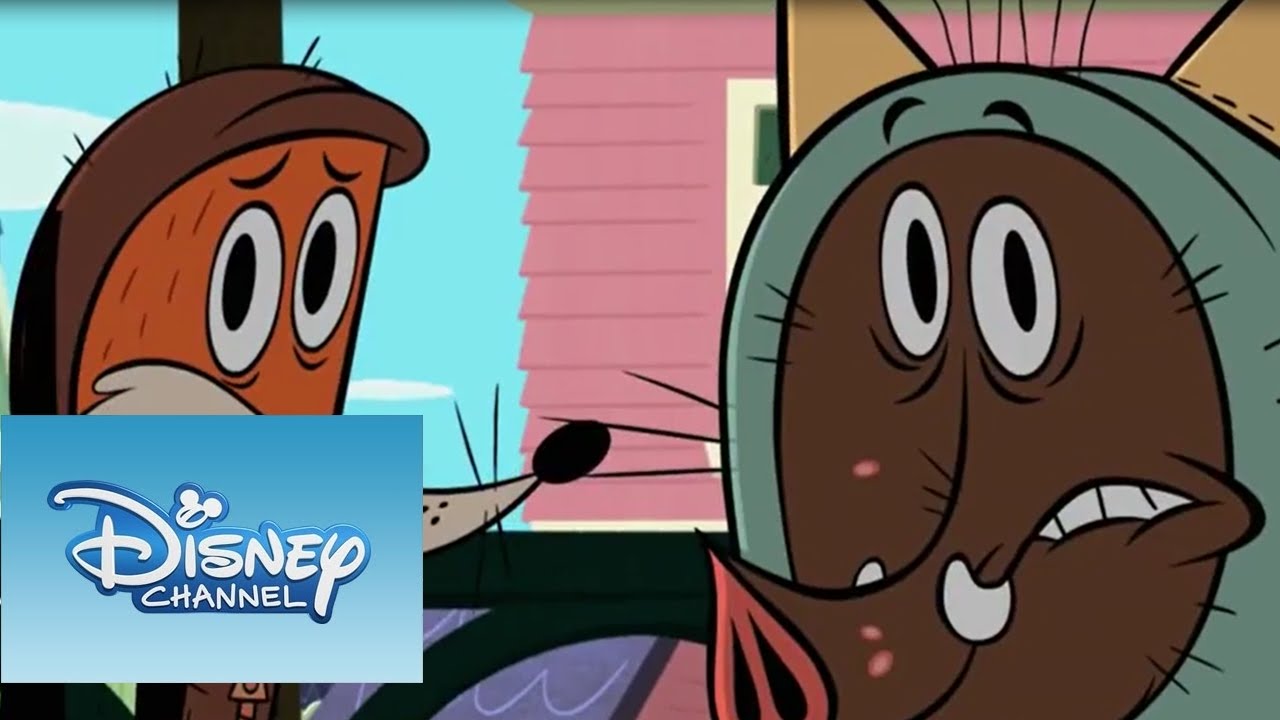 Zip Zip: Nuevos Episodios - Disney Channel Latinoamerica - YouTube