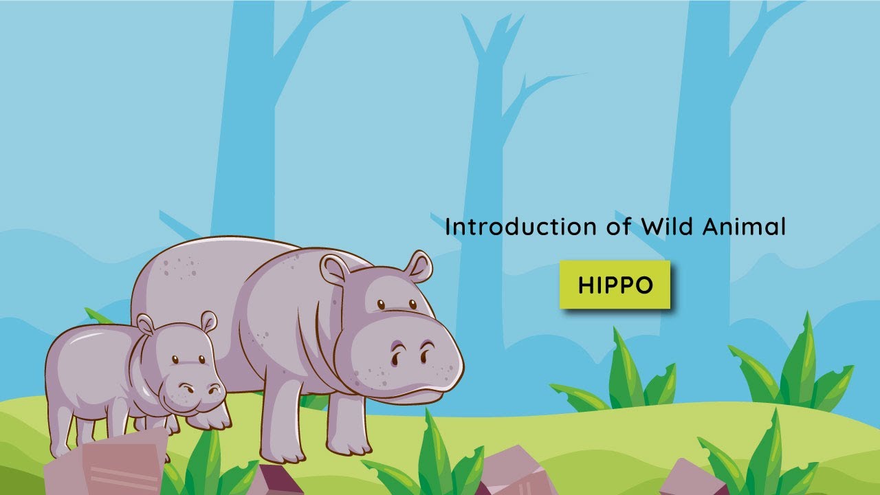 Learn About the Amazing World of Hippos | Educational Video for Kids ...