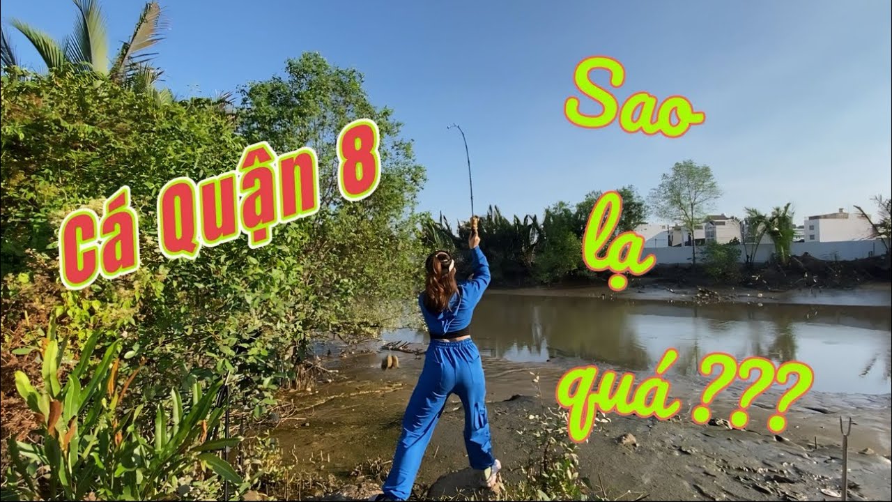 Tập 24 | Câu cá thiên nhiên sông Sài Gòn, điểm câu cũ nhưng người mới ...